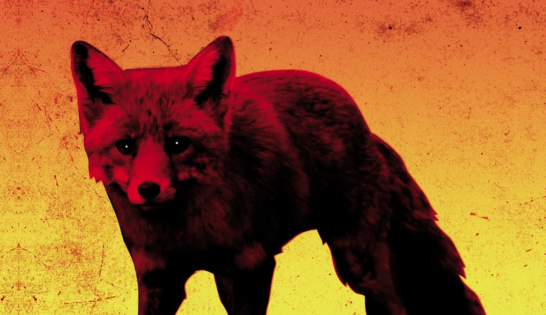 Pure Gold: Martin Goldschmidt on Cooking Vinyl’s unplanned success - [PIAS]